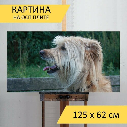 Картина на ОСП 125х62 см. "Собака, банк, трава" горизонтальная, для интерьера, с креплениями