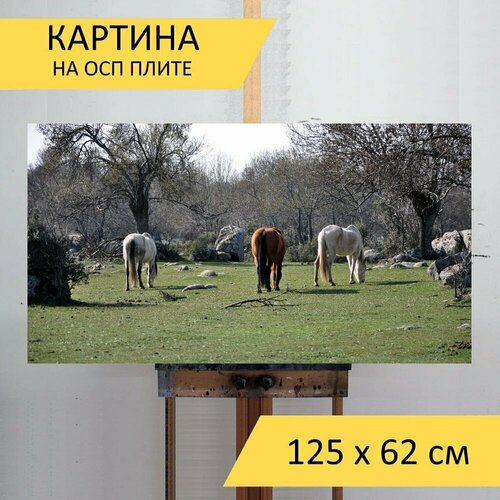 Картина на ОСП 125х62 см. "Лошади, ферма, животное" горизонтальная, для интерьера, с креплениями