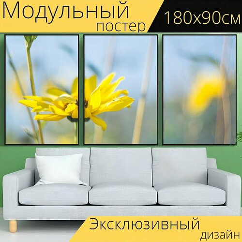 Модульный постер "Желтый, цветок, природа" 180 x 90 см. для интерьера