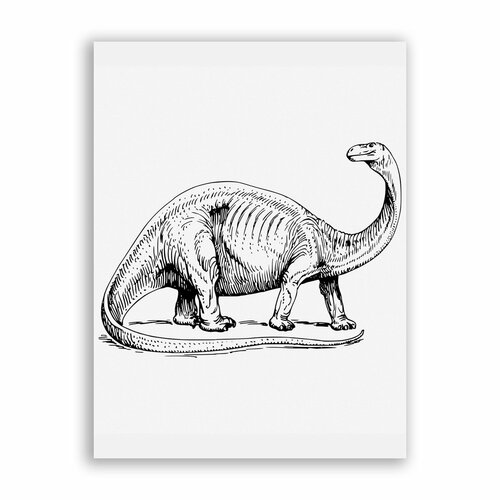 Постер плакат на бумаге / Черно-белые - Динозавр / Размер 80 x 106 см