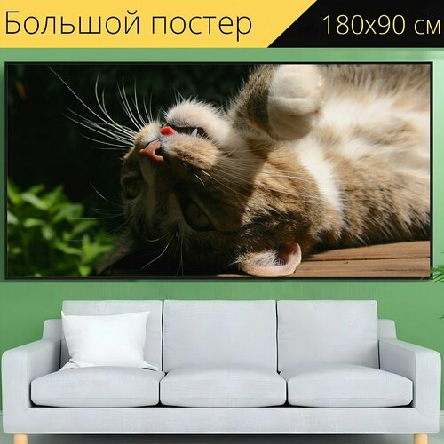 Большой постер "Кот, похмелье, язык кота" 180 x 90 см. для интерьера