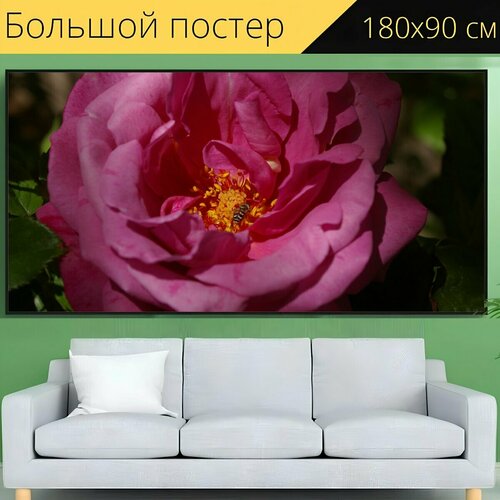 Большой постер "Цветок, роза, розовый" 180 x 90 см. для интерьера