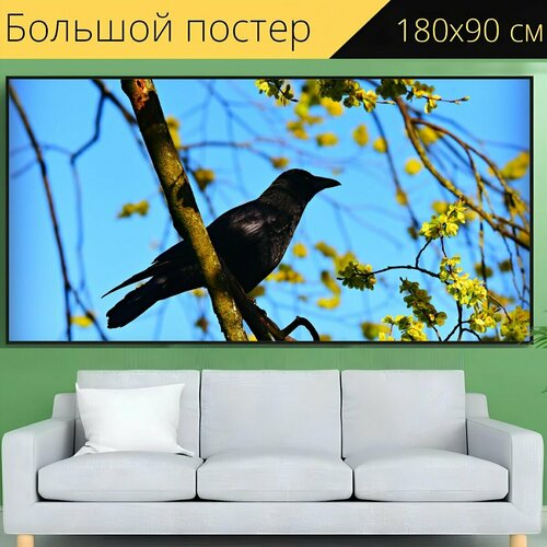 Большой постер "Черный ворон, птица, животное" 180 x 90 см. для интерьера