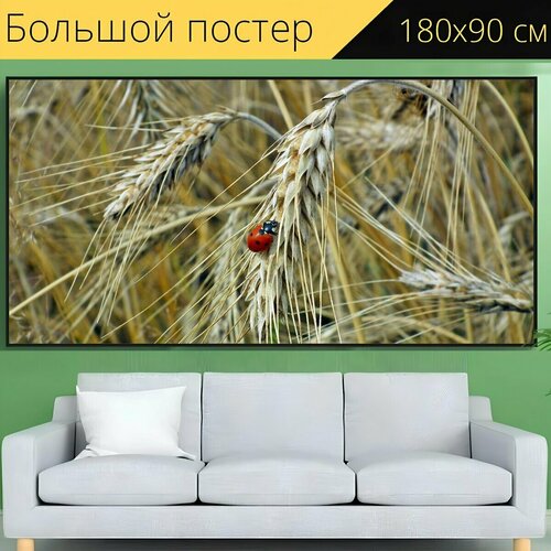 Большой постер "Зерновой, поле, насекомое" 180 x 90 см. для интерьера