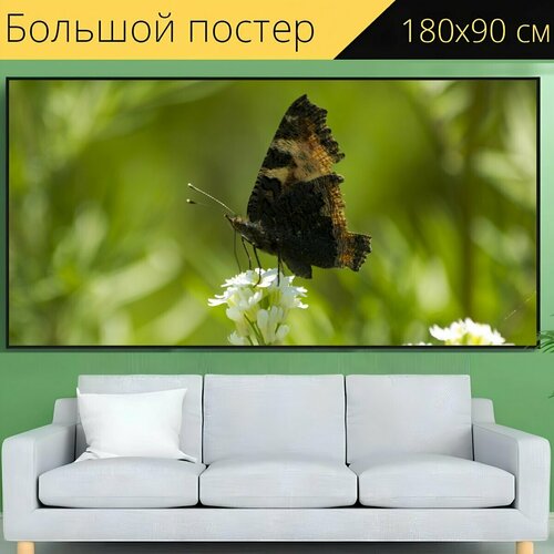 Большой постер "Бабочка, цветок, насекомое" 180 x 90 см. для интерьера