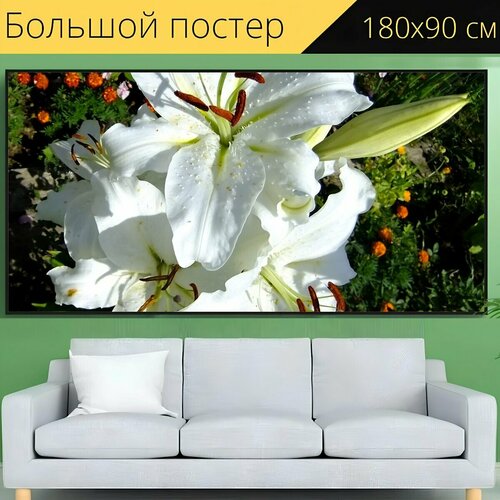 Большой постер "Лилия, цветок, белый" 180 x 90 см. для интерьера
