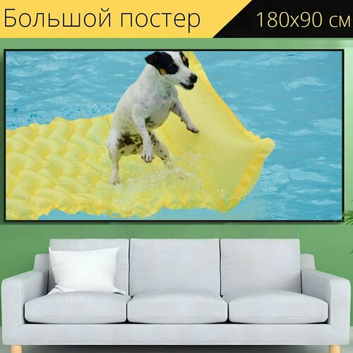 Большой постер "Джек рассел, плавательный бассейн, собака" 180 x 90 см. для интерьера