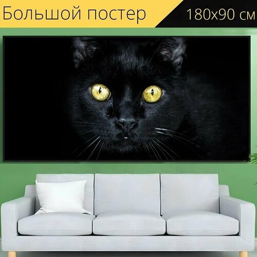 Большой постер "Черный кот, золотые глаза, кот" 180 x 90 см. для интерьера