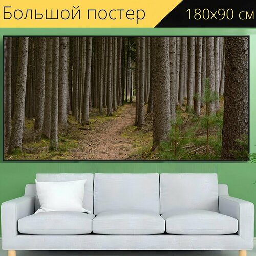 Большой постер "Отдых, дорожка, лес" 180 x 90 см. для интерьера