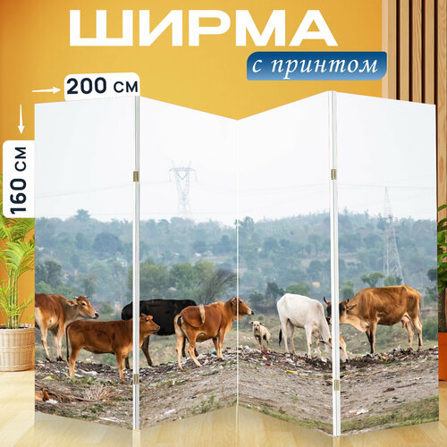 Ширма перегородка с принтом "Коровы, крупный рогатый скот, ферма" на холсте - 200x160 см. для зонирования, раскладная