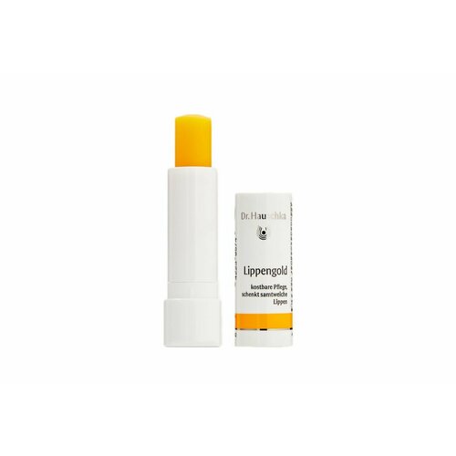 DR.HAUSCHKA Помада гигиеническая Lip Care Stick