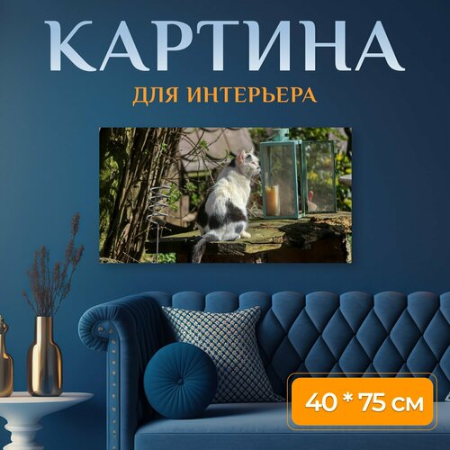 Картина на холсте "Кот, фонарь, домашнее животное" на подрамнике 75х40 см. для интерьера