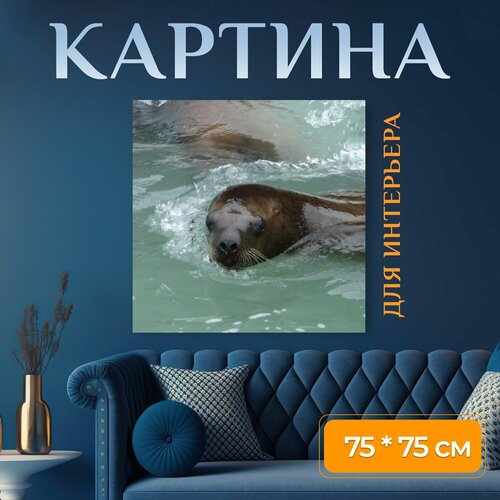 Картина на холсте "Тюлень, вода, плавать" на подрамнике 75х75 см. для интерьера