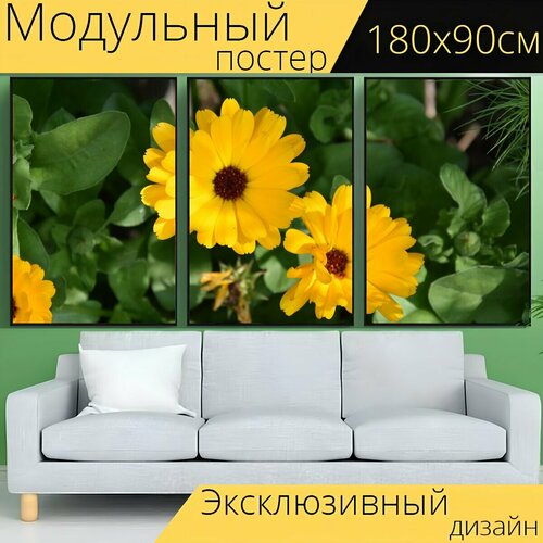 Модульный постер "Цветок, желтый, летом" 180 x 90 см. для интерьера