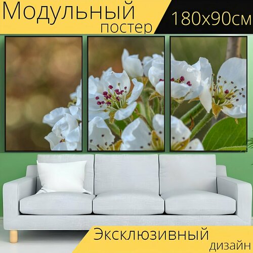 Модульный постер "Груша, цветение груши, весна" 180 x 90 см. для интерьера