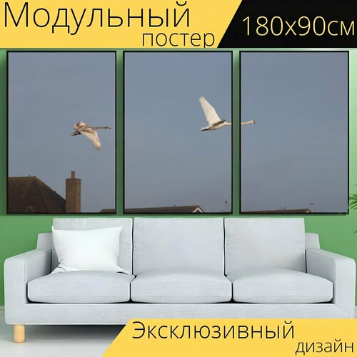 Модульный постер "Лебеди в полете, лебедь в полете, белые птицы" 180 x 90 см. для интерьера