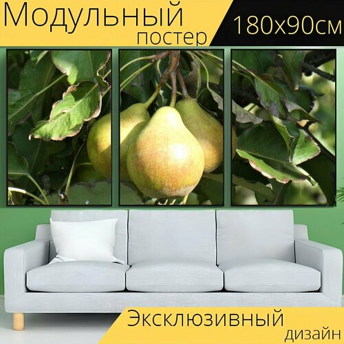 Модульный постер "Груши, фрукты, дерево" 180 x 90 см. для интерьера