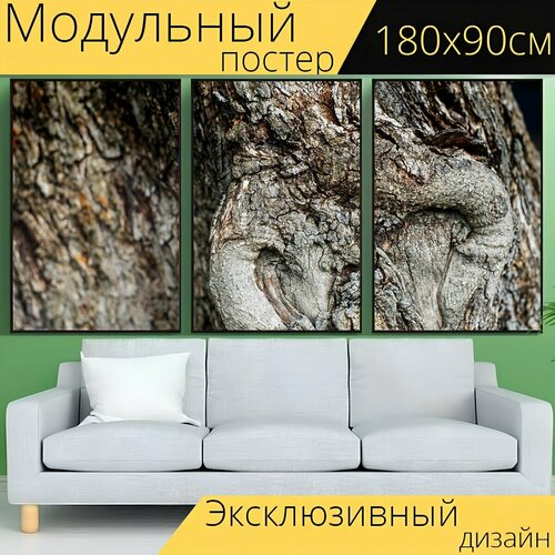 Модульный постер "Оливковое дерево, древесина, лаять" 180 x 90 см. для интерьера