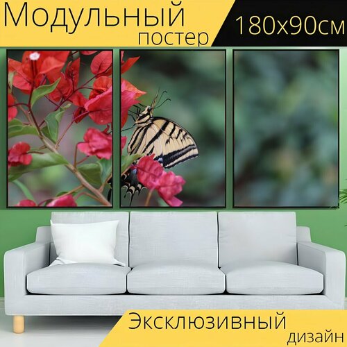 Модульный постер "Бабочка, насекомое, бугенвиллия" 180 x 90 см. для интерьера