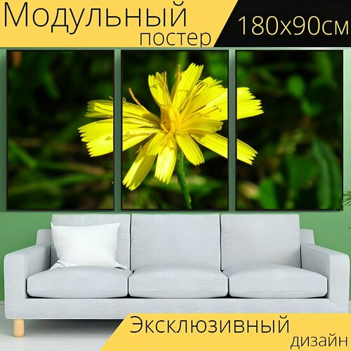 Модульный постер "Цветок, желтый лес, летом" 180 x 90 см. для интерьера