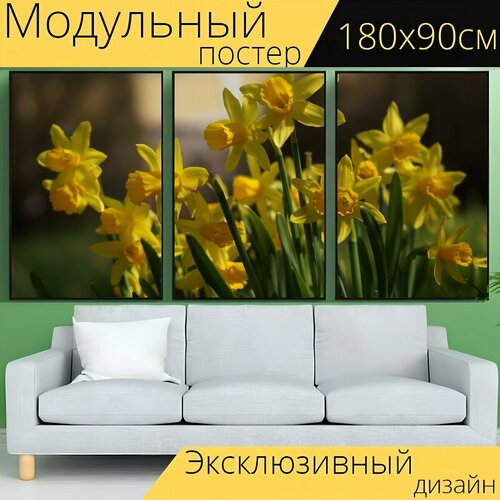 Модульный постер "Нарцисс, цветы, весна" 180 x 90 см. для интерьера