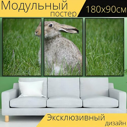Модульный постер "Кролик, заяц, грызун" 180 x 90 см. для интерьера