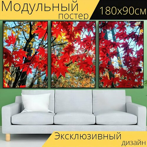Модульный постер "Цвета осени, осень, красочный" 180 x 90 см. для интерьера