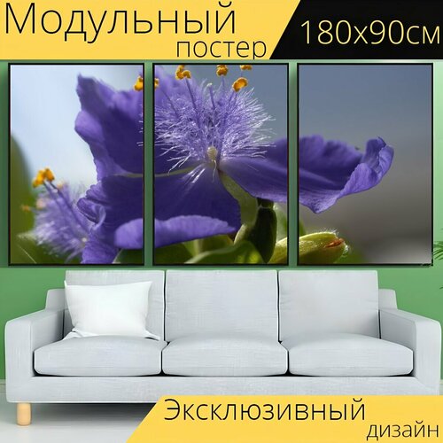 Модульный постер "Цветок, традесканции лилли, фиолетовый" 180 x 90 см. для интерьера