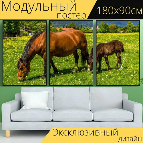Модульный постер "Лошадь, коричневый, жеребенок" 180 x 90 см. для интерьера