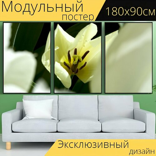 Модульный постер "Флора, лепестки, цветок" 180 x 90 см. для интерьера