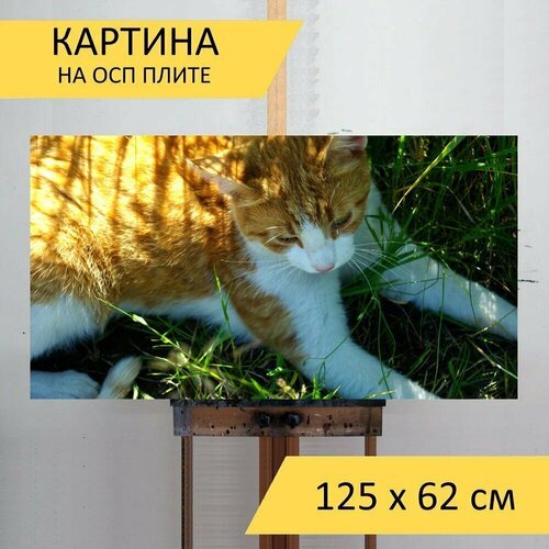 Картина на ОСП 125х62 см. "Кот, кошка, рыжий кот" горизонтальная, для интерьера, с креплениями