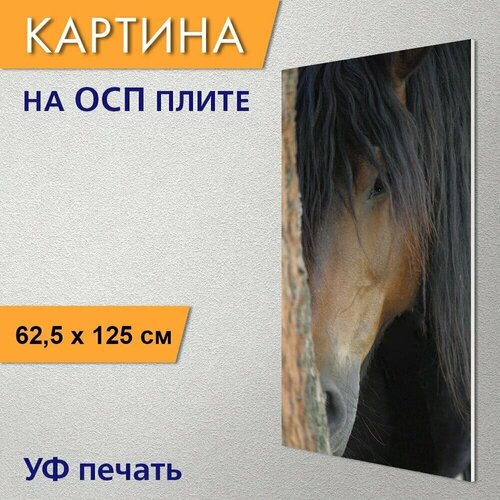 Вертикальная картина на ОСП "Лошади, природа, прейри" 62x125 см. для интерьериа