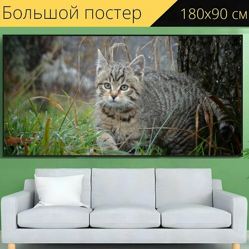 Большой постер "Кот, котенок, милый" 180 x 90 см. для интерьера