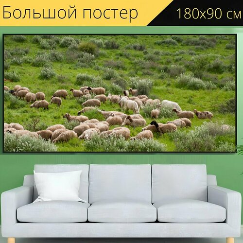 Большой постер "Овцы, библейские места, израиль" 180 x 90 см. для интерьера