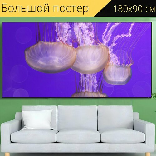 Большой постер "Фиолетовый, медуза, вода" 180 x 90 см. для интерьера