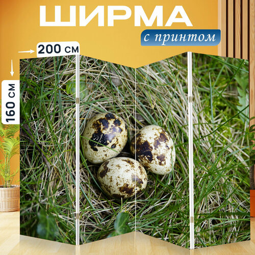 Ширма перегородка с принтом "Перепел, яйца, пасхальный" на холсте - 200x160 см. для зонирования, раскладная
