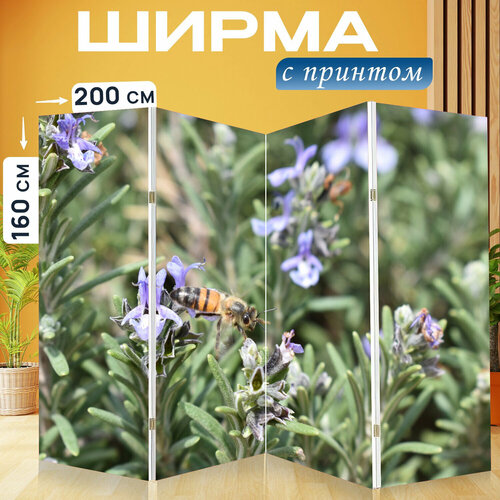 Ширма перегородка с принтом "Пчела, цветок, лаванда" на холсте - 200x160 см. для зонирования, раскладная