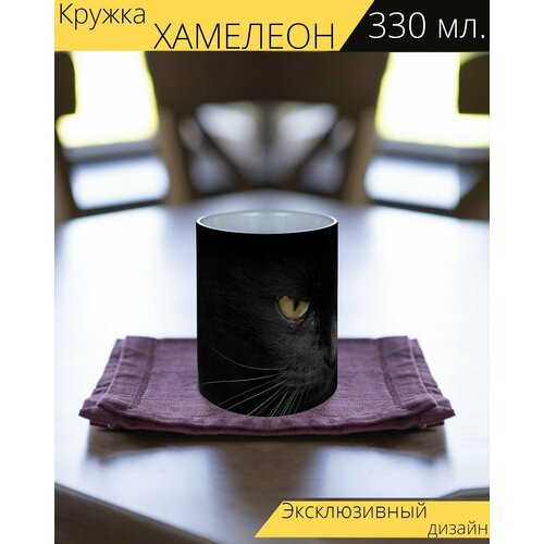 Кружка хамелеон с принтом "Кошка, кошачий, млекопитающее" 330 мл.