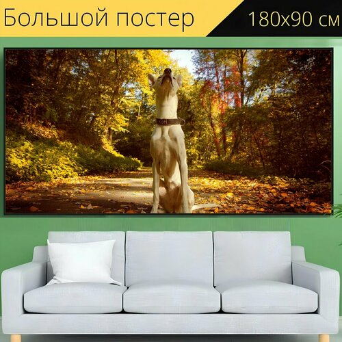 Большой постер "Собака, лес, природа" 180 x 90 см. для интерьера