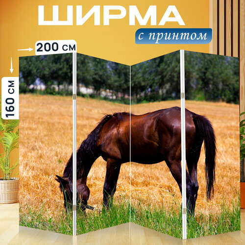 Ширма перегородка с принтом "Лошадь, поля, коричневый" на холсте - 200x160 см. для зонирования, раскладная