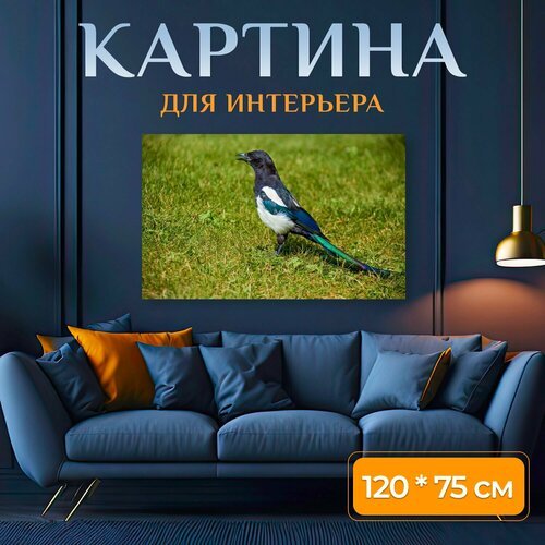 Картина на холсте "Птицы, природа, красочный" на подрамнике 120х75 см. для интерьера