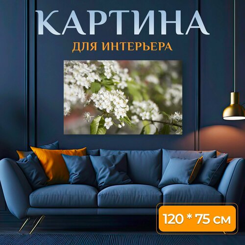 Картина на холсте "Цветок, белый, весна" на подрамнике 120х75 см. для интерьера