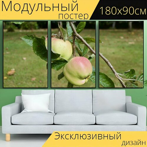 Модульный постер "Яблоко, фрукты, осень" 180 x 90 см. для интерьера