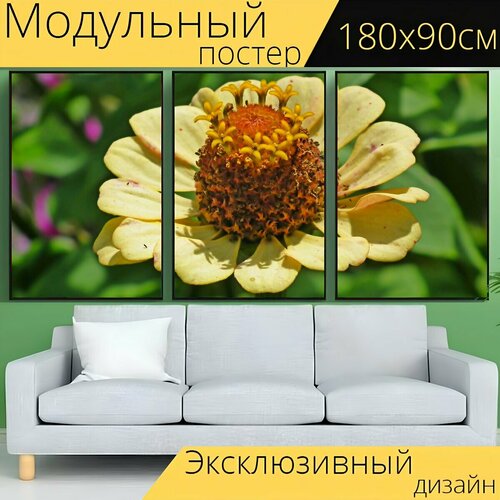 Модульный постер "Цинния, цветок, желтый" 180 x 90 см. для интерьера