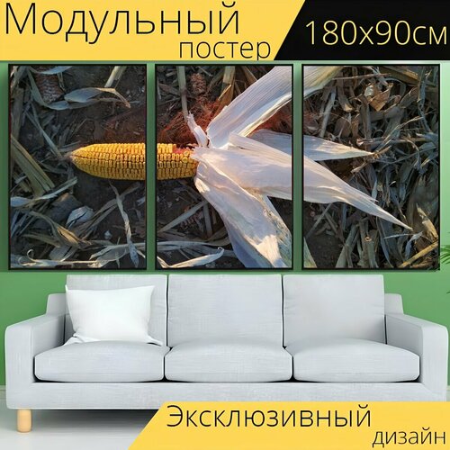 Модульный постер "Кукуруза, ухо, обрезать" 180 x 90 см. для интерьера