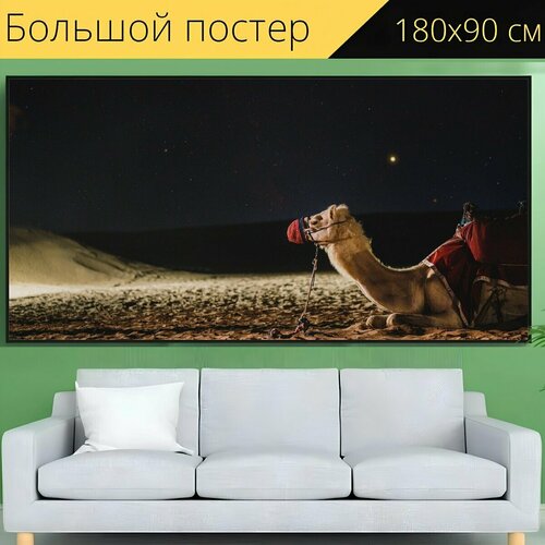 Большой постер "Верблюд, галактика, дубай" 180 x 90 см. для интерьера