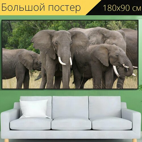 Большой постер "Слон, африка, сафари" 180 x 90 см. для интерьера