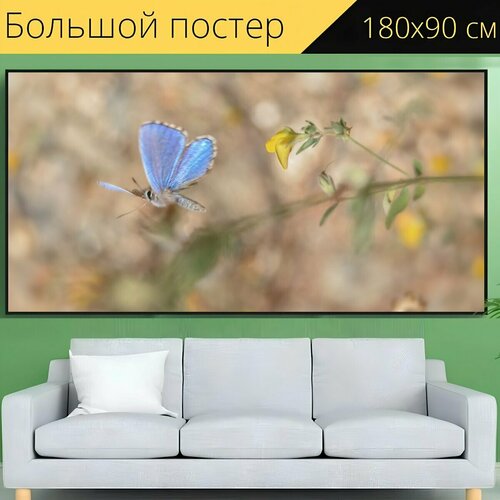 Большой постер "Бабочка, обыкновенный синий, полет" 180 x 90 см. для интерьера