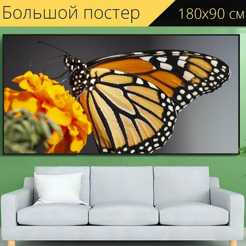 Большой постер "Бабочка, крылья, монарх" 180 x 90 см. для интерьера