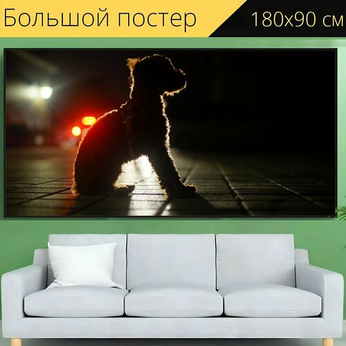 Большой постер "Собака, ночная точка зрения, свет и тень" 180 x 90 см. для интерьера